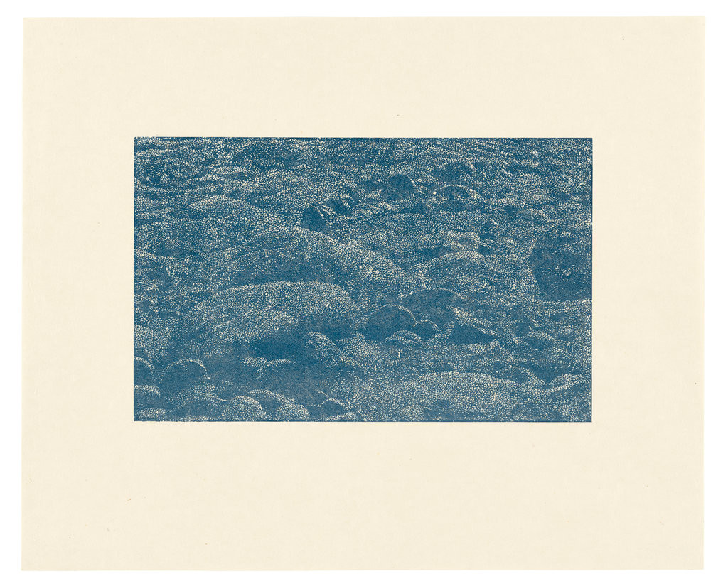 Franz Gertsch, Cima del Mar (Detail 2), 1991 · Gallery Ludorff