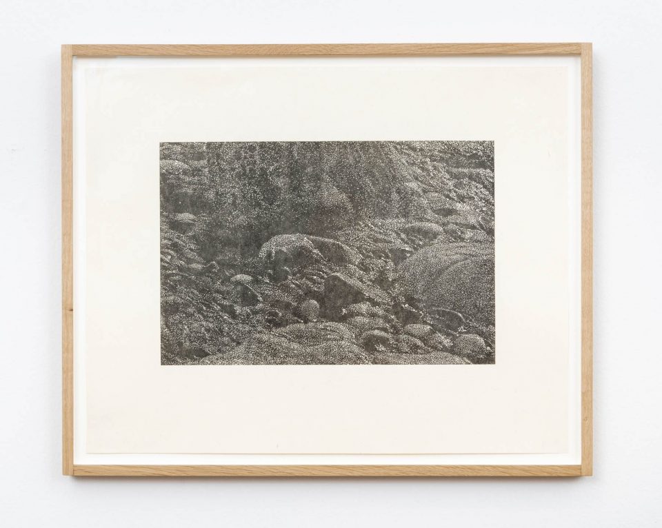 Franz Gertsch, Cima del Mar (Detail 9), 1992 · Galerie Ludorff