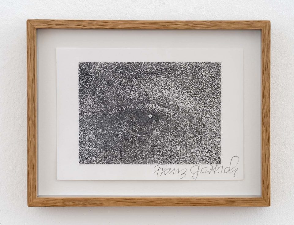 Franz Gertsch, Natascha III (Detail 1), 1986/2000 · Gallery Ludorff