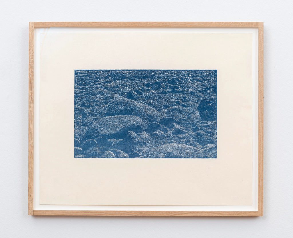 Franz Gertsch, Cima del Mar (Detail 2), 1991 · Gallery Ludorff