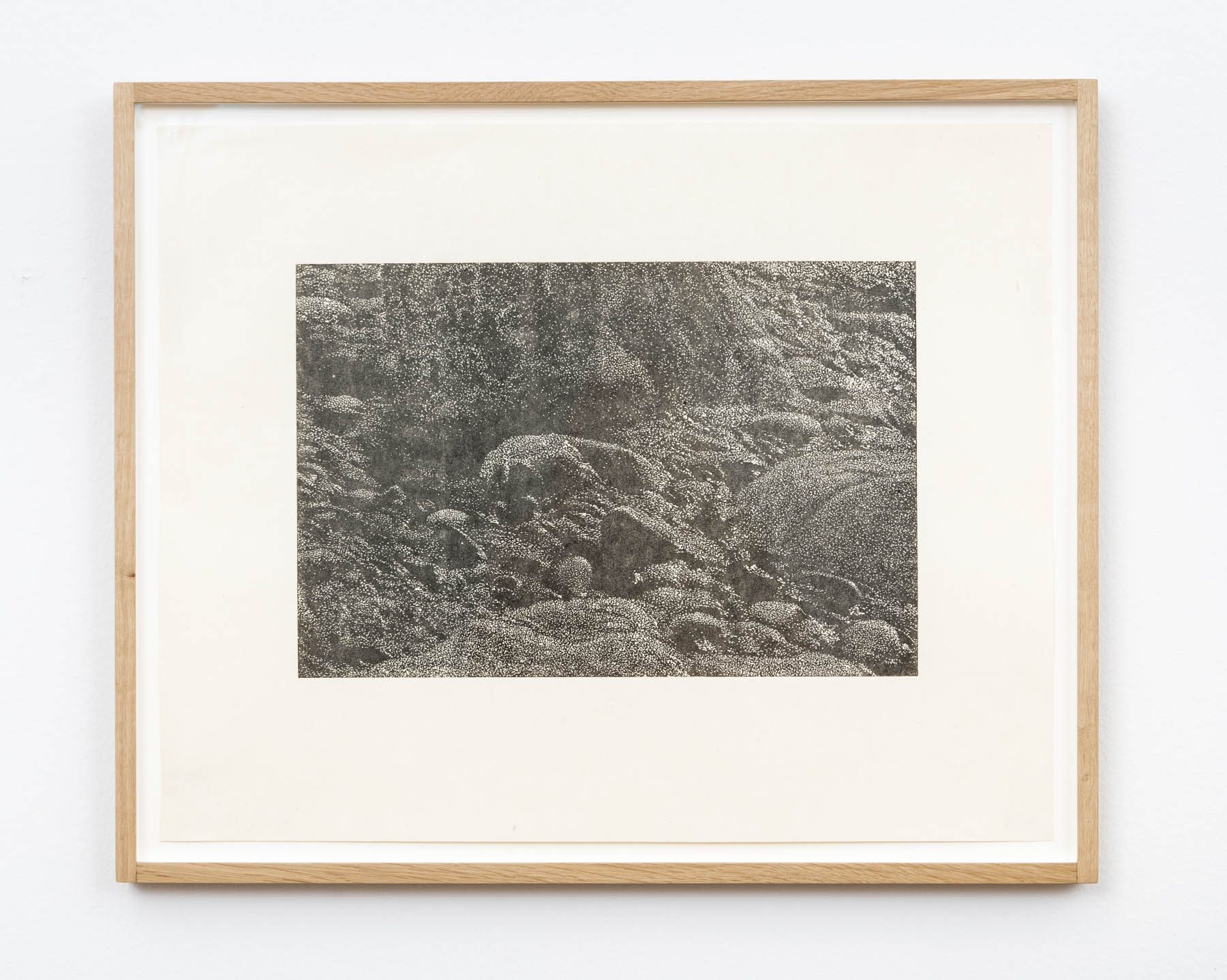 Franz Gertsch, Cima del Mar (Detail 9), 1992 · Galerie Ludorff