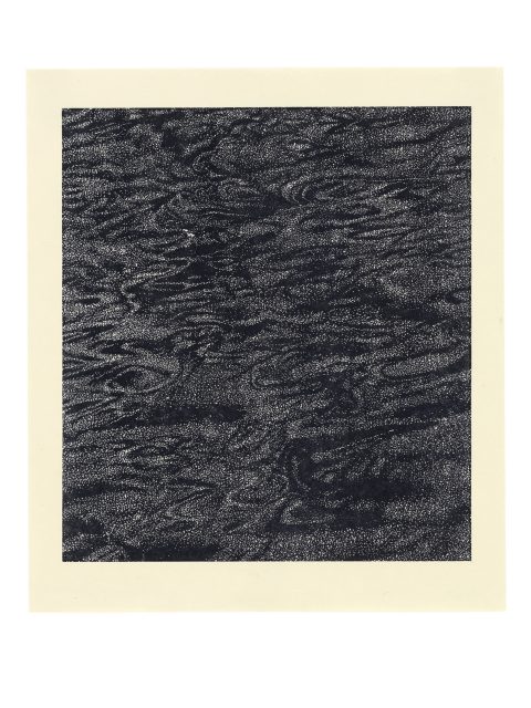 Franz Gertsch, Schwarzwasser I, Detail 8, schwarz, 1992 · Galerie Ludorff