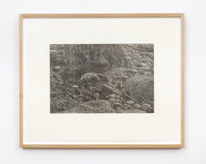 Franz Gertsch, Cima del Mar (Detail 9), 1992 · Gallery Ludorff