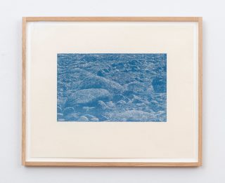 Franz Gertsch, Cima del Mar (Detail 2), 1991 · Gallery Ludorff